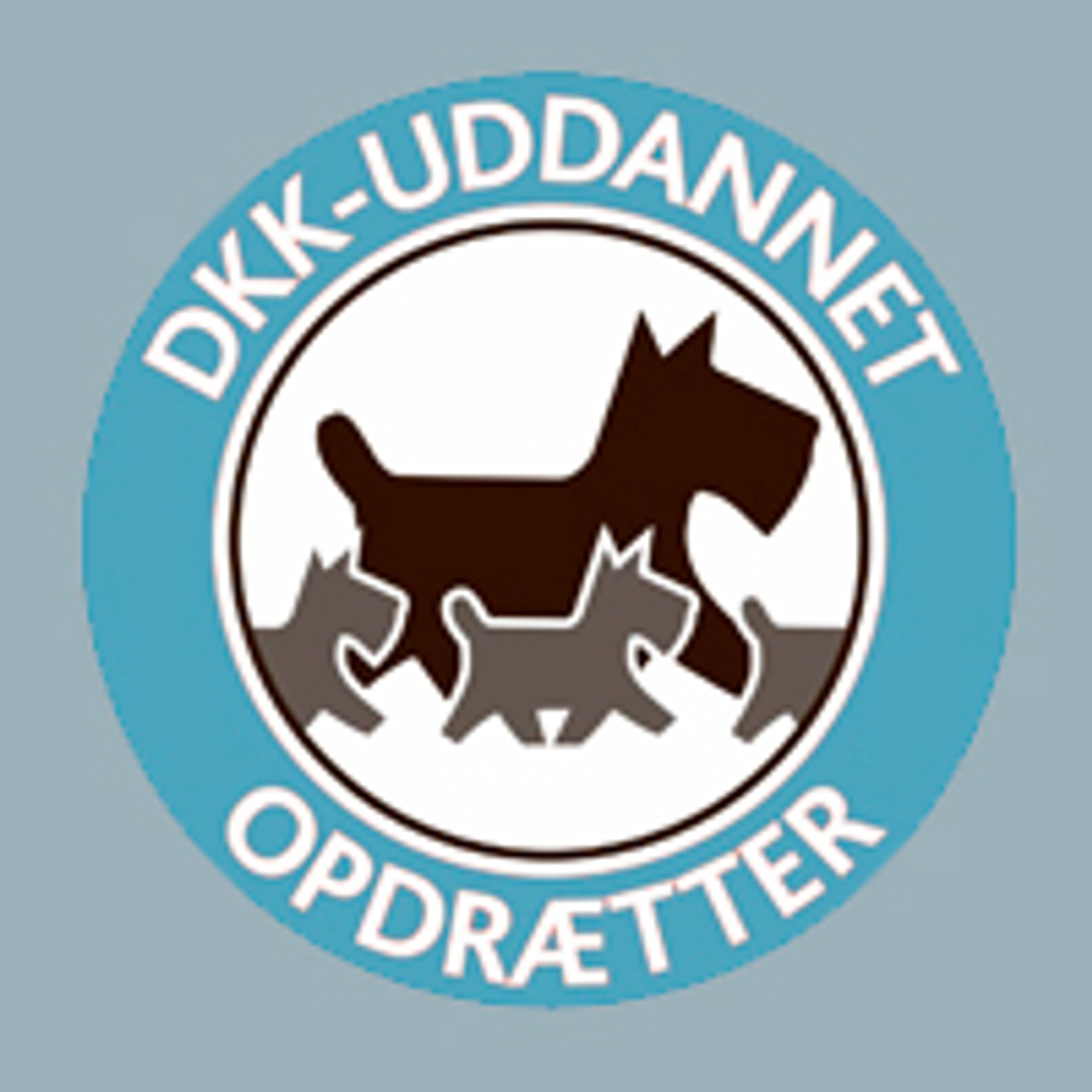 Kennel Falkirk's - Golden Retrievers